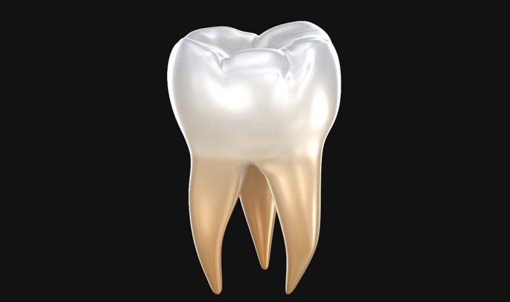 What is a molar teeth? - Dr Jamilian