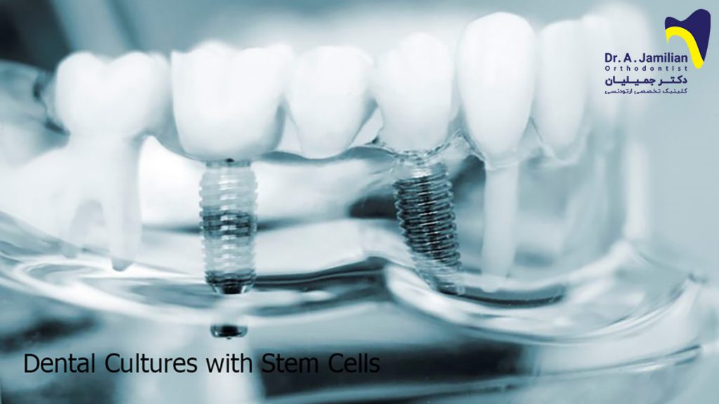 Growing Teeth by Using Stem Cells - Dr Jamilian