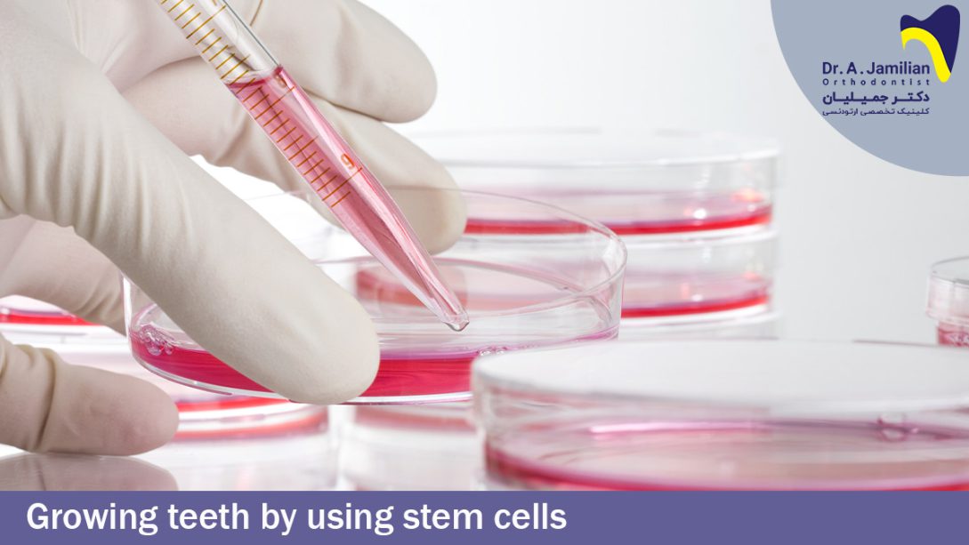Growing Teeth by Using Stem Cells - Dr Jamilian